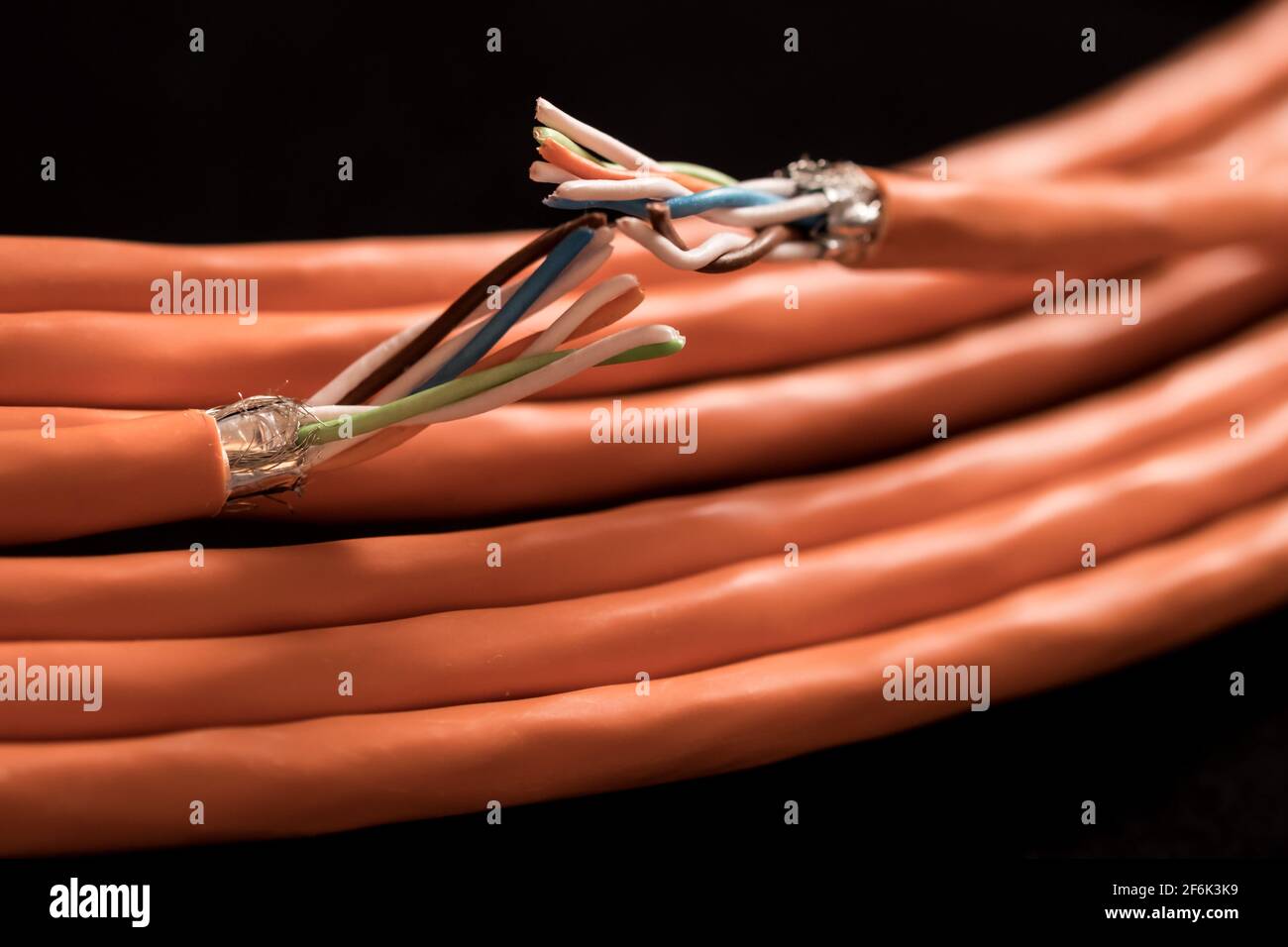 Cut-up data wire in a row of eight network cables Stock Photo - Alamy