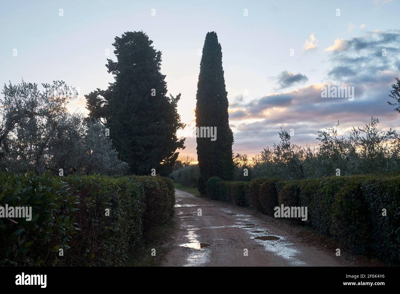 Chianti road hi-res stock photography and images - Alamy