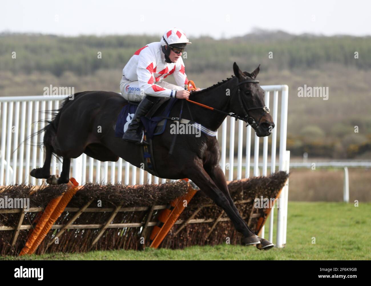 Lorcan williams hi-res stock photography and images - Alamy
