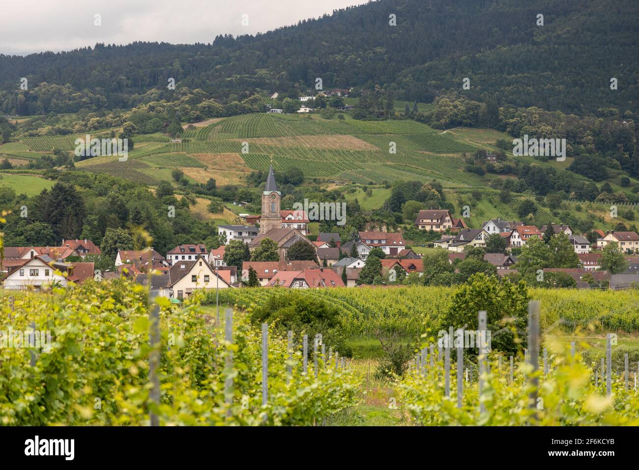 Buehler High Resolution Stock Photography and Images - Alamy