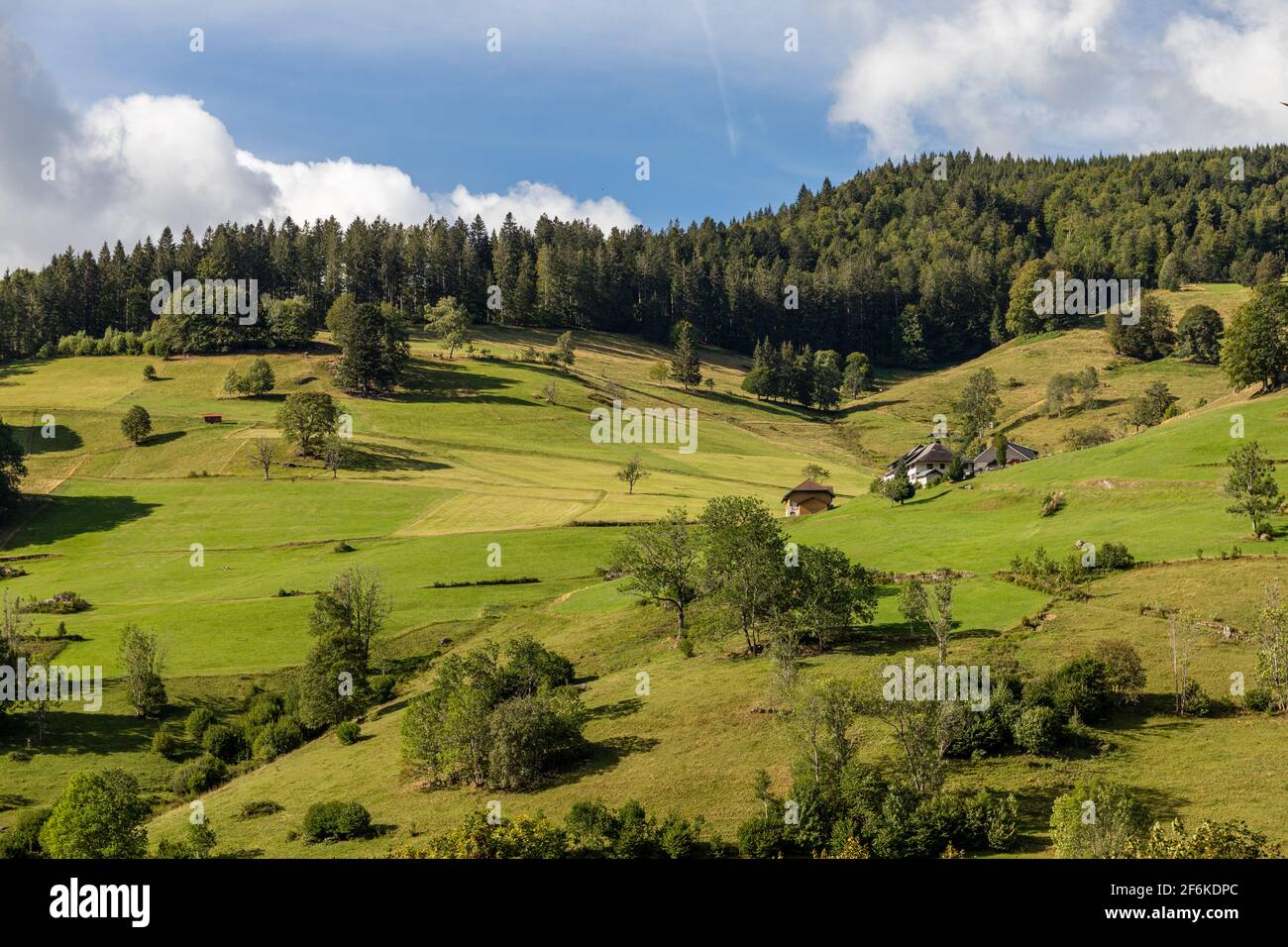 Landscape with huts in the Black Forest Stock Photo - Alamy
