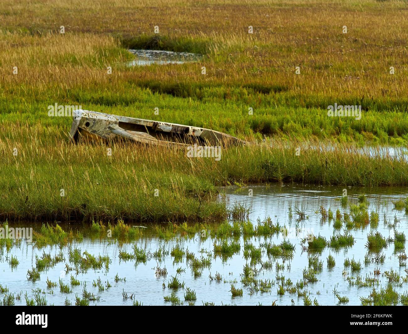 Pennington marshes hi-res stock photography and images - Alamy