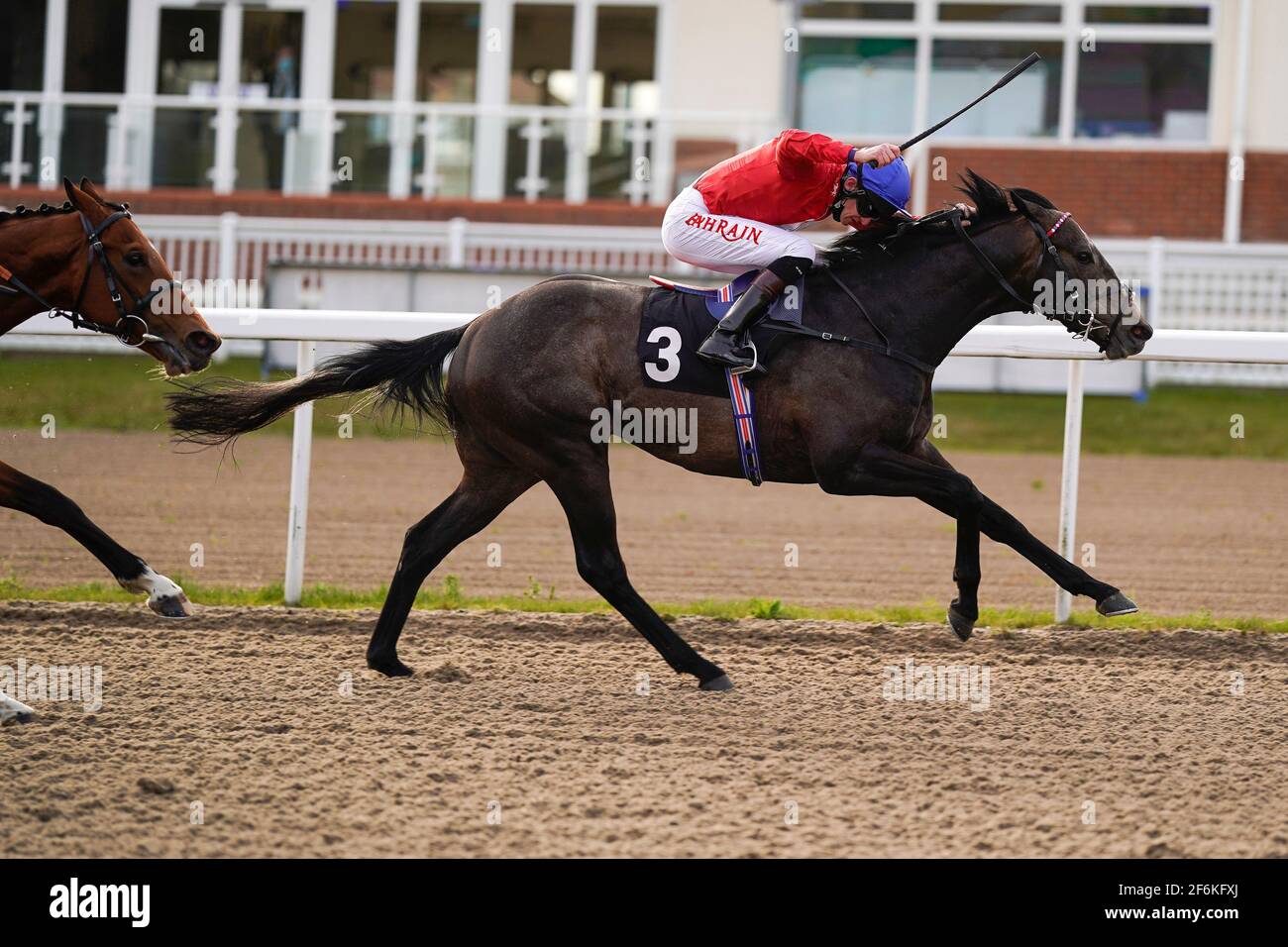 Robert havlin hi-res stock photography and images - Alamy