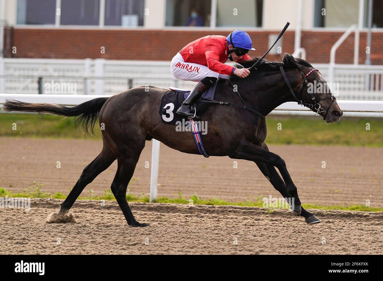 Fundamental horse hi-res stock photography and images - Alamy