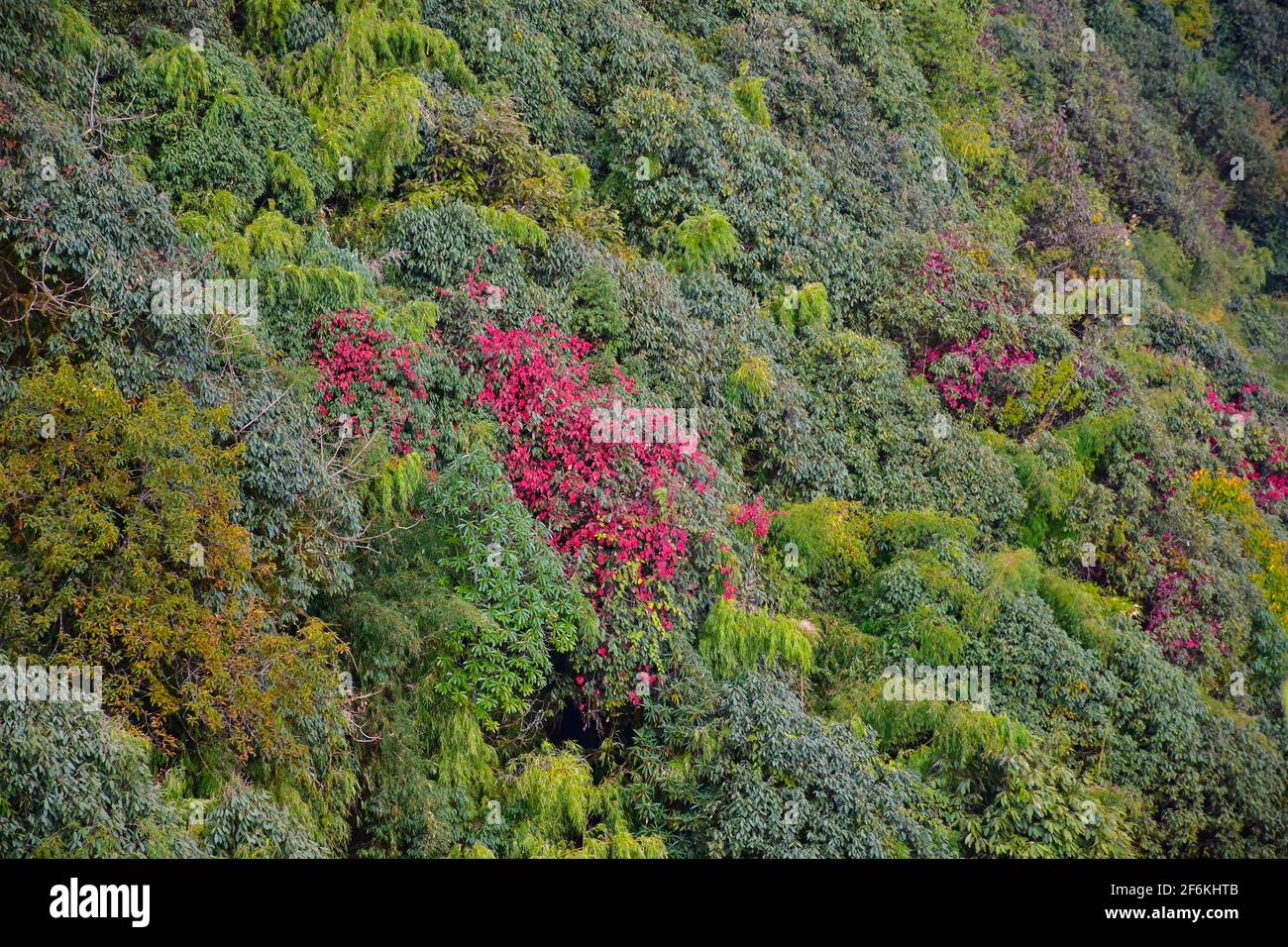 Slippery slope hi-res stock photography and images - Alamy