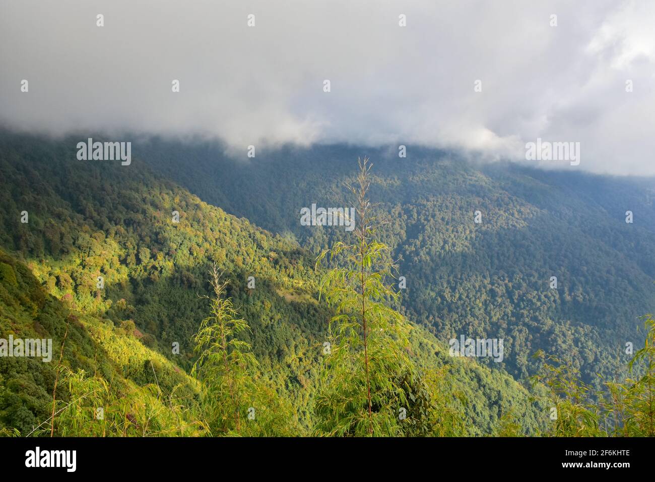 Slippery slope hi-res stock photography and images - Alamy