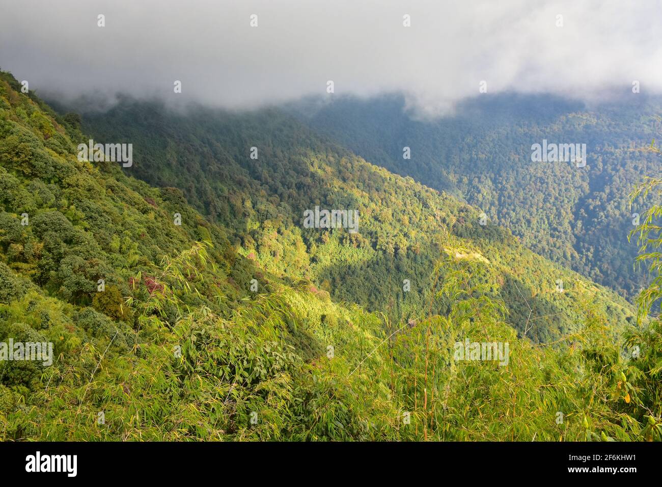 Gorgeous scenery mountain slope hi-res stock photography and images - Alamy