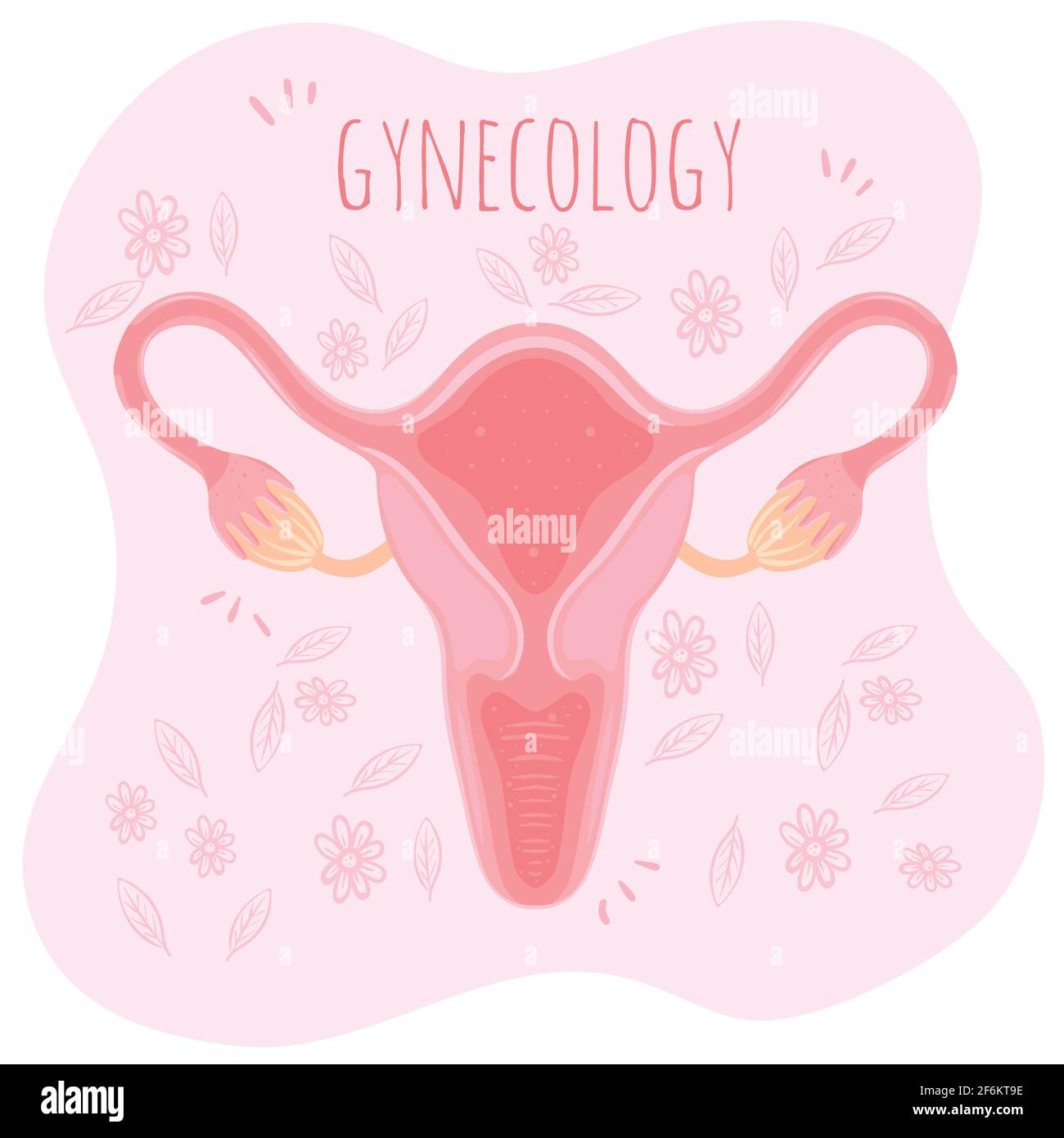 Uterine organ Stock Vector Images - Alamy