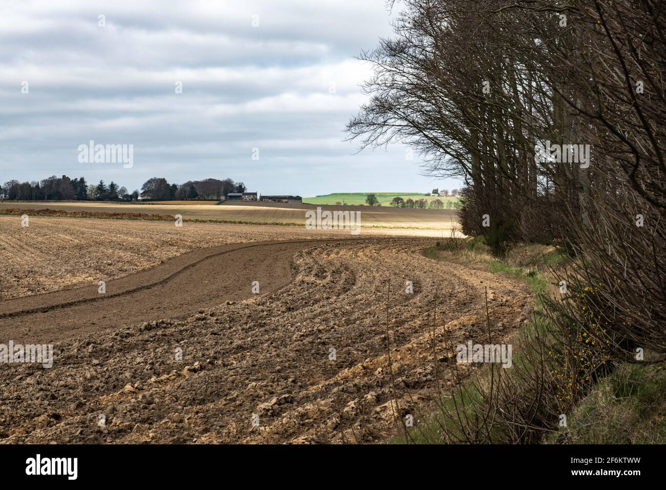 Farmland at Howell Woods Stock Photo - Alamy