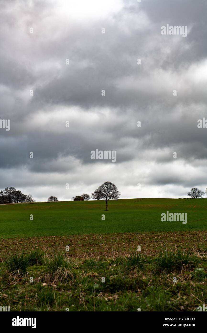 Farmland at Howell Woods Stock Photo - Alamy
