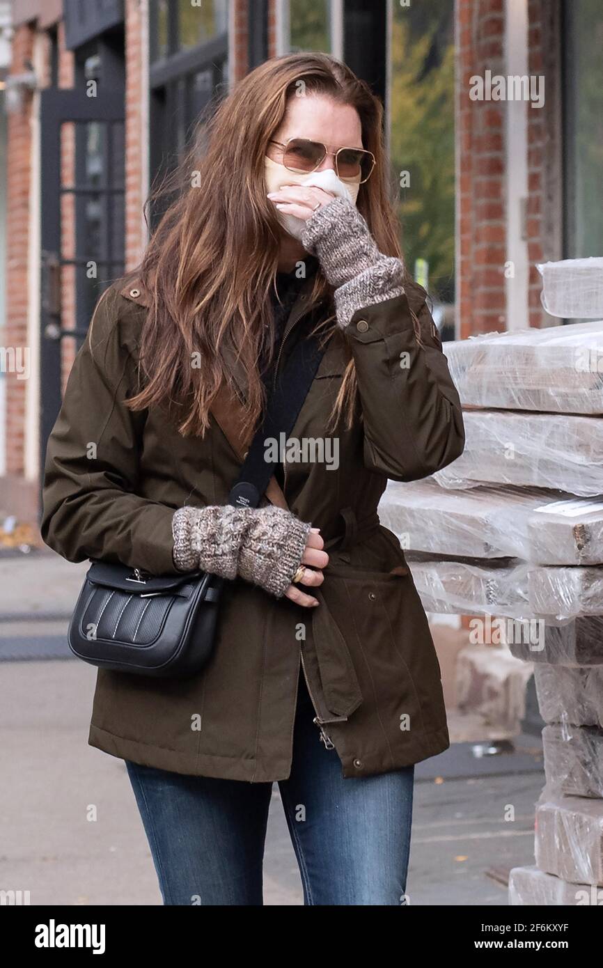 New York - NY - 20201117 - Brooke Shields Sighting in NYC DowntownNY ...