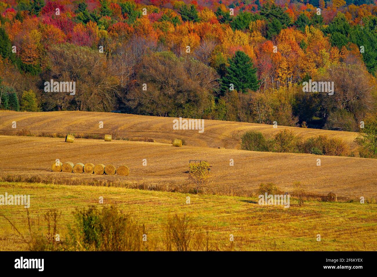 Autumn eastern townships hi-res stock photography and images - Alamy