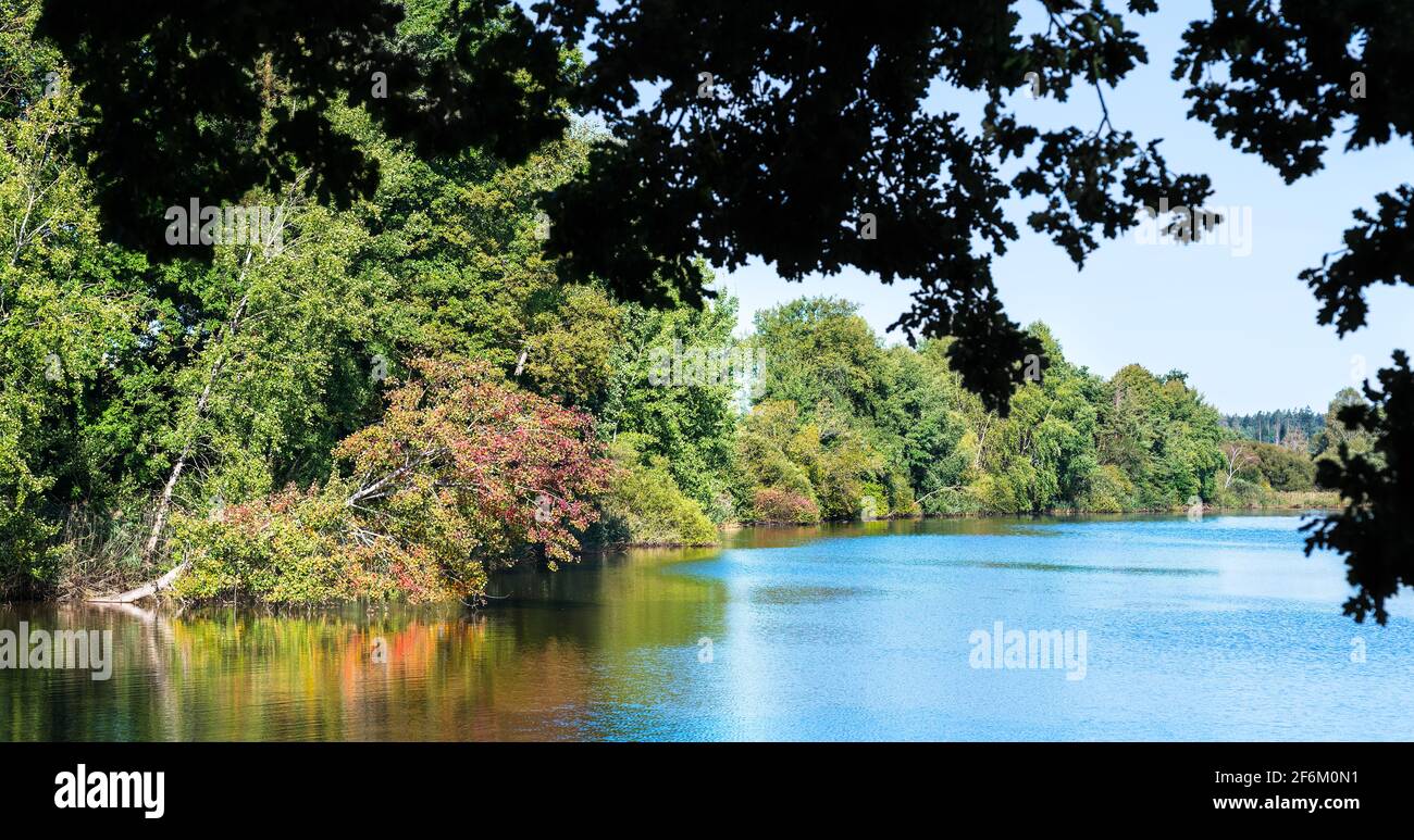 Beautiful scene of blue water surface with ripples. Colorful fallen ...
