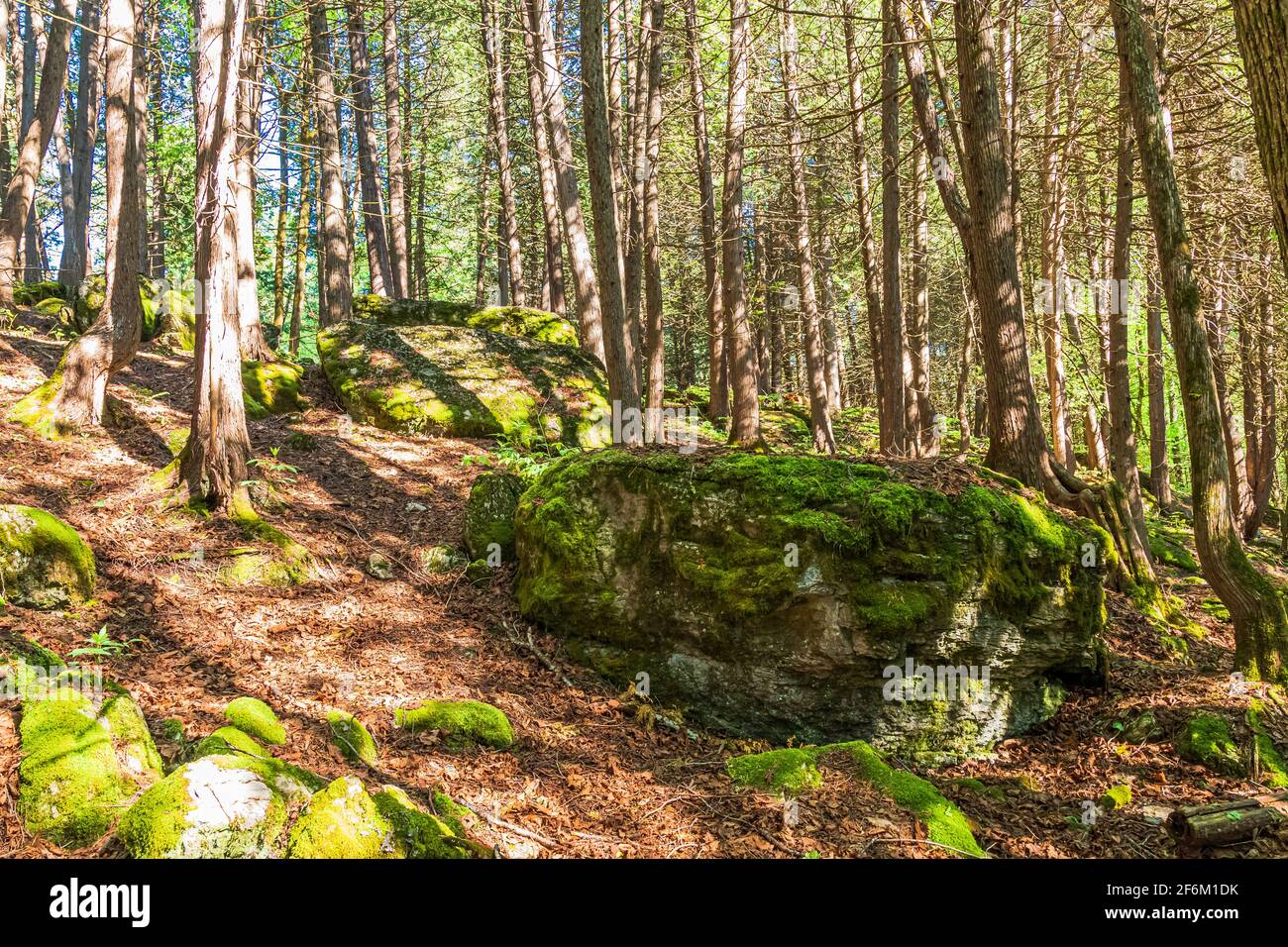 Warsaw Caves Conservation area Dwight Ontario Canada in summer Stock ...
