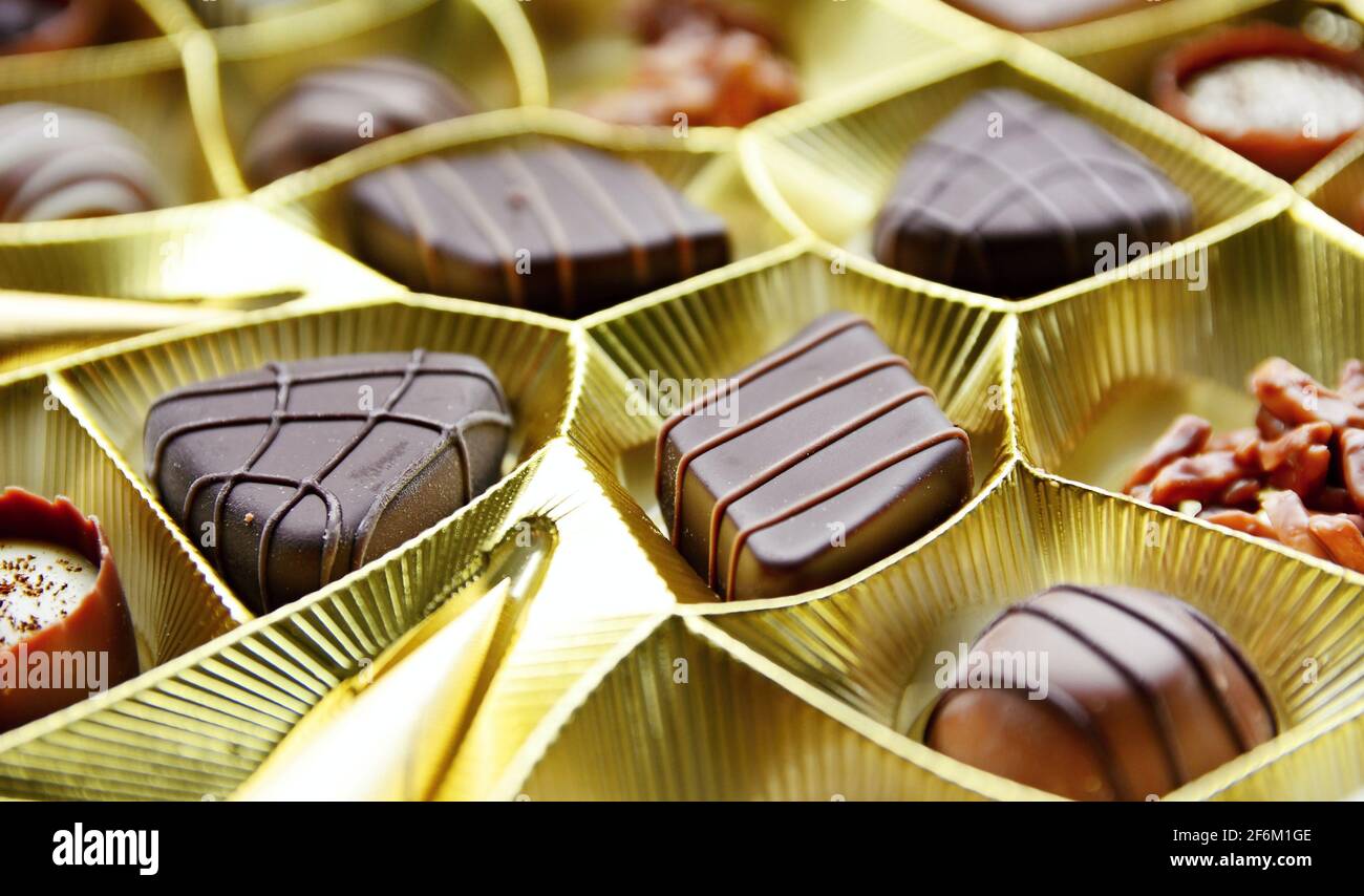 Selection of fine milk and dark chocolate belgian pralines Stock Photo ...