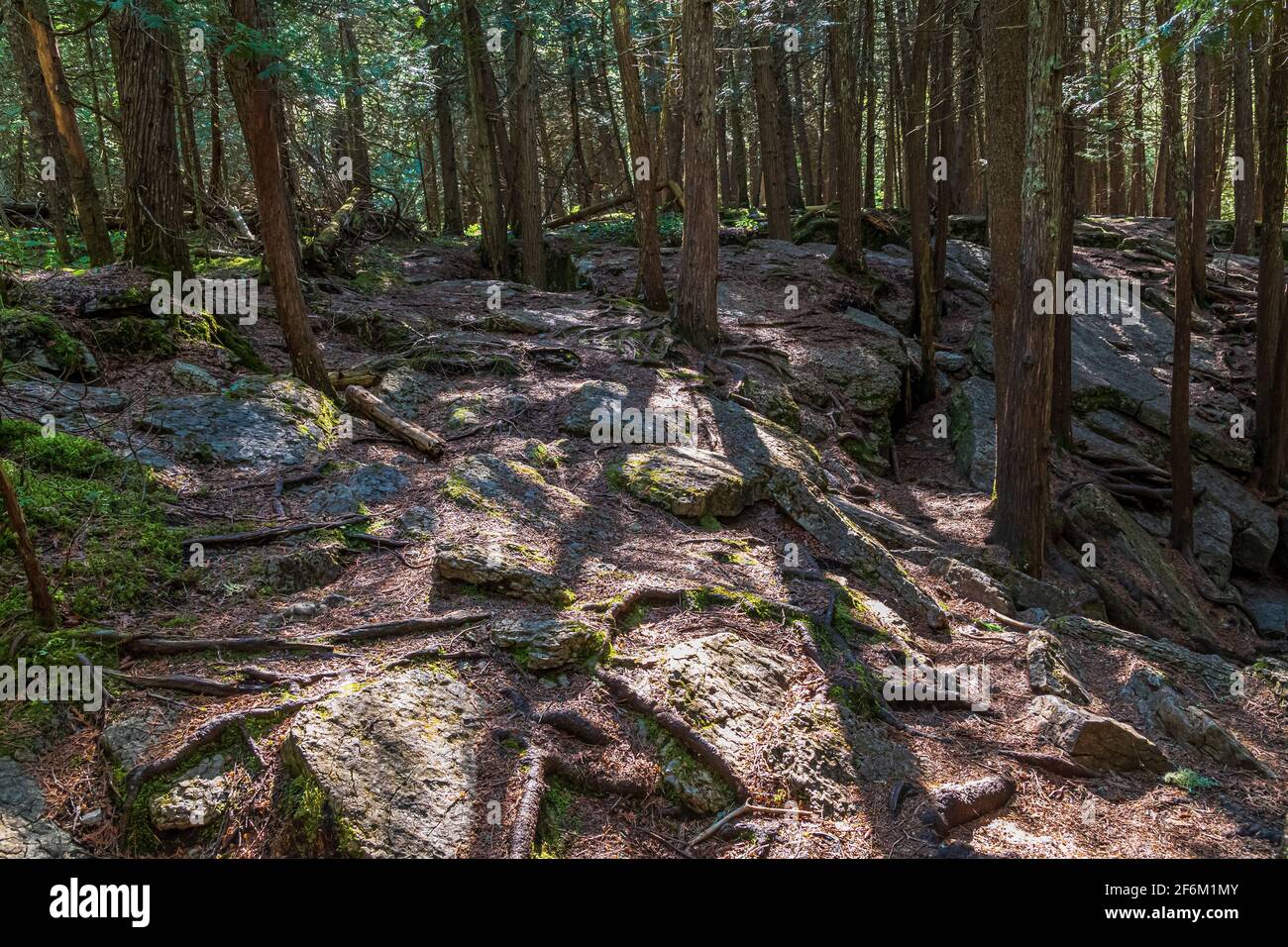 Warsaw Caves Conservation area Dwight Ontario Canada in summer Stock ...