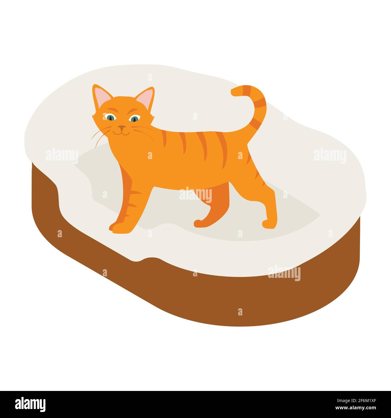 Ginger cat in his soft cozy bed cushion isolated on white background ...