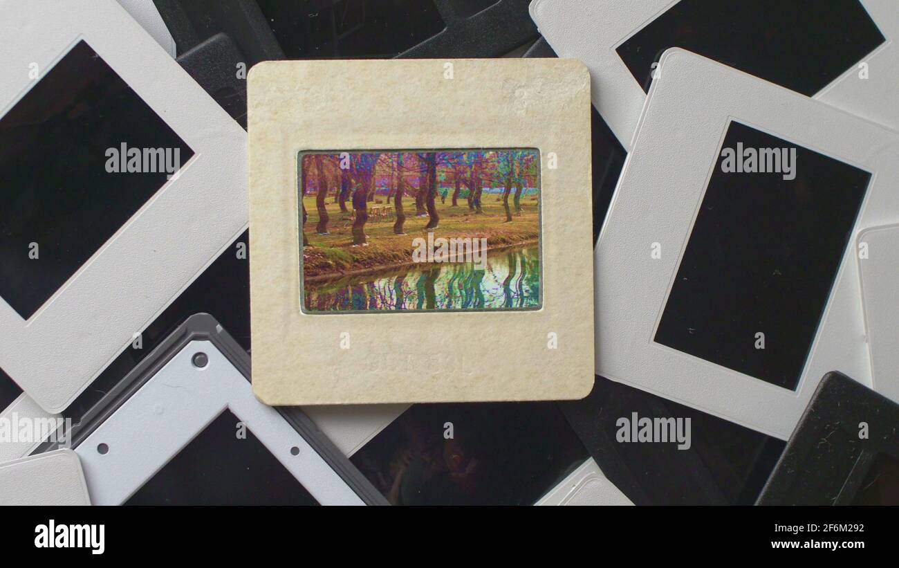 Broken family picture frame hi-res stock photography and images - Alamy