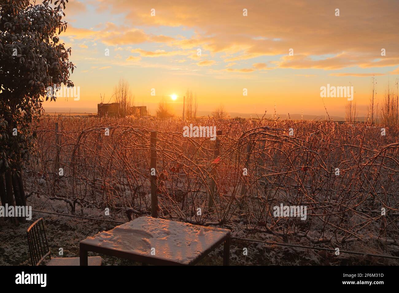 Vale de uco hi-res stock photography and images - Alamy