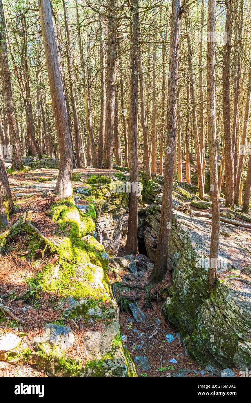 Warsaw Caves Conservation area Dwight Ontario Canada in summer Stock ...