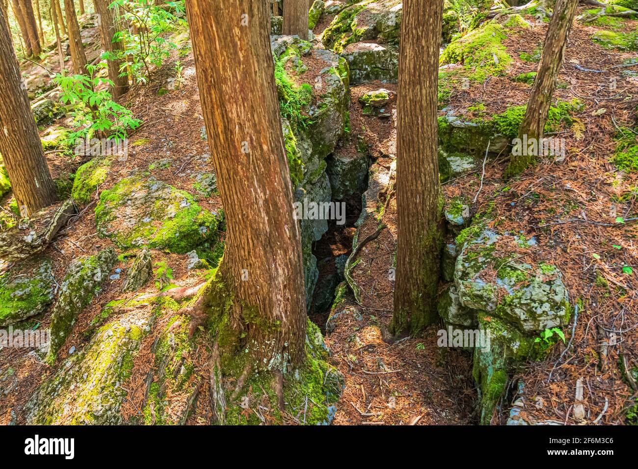 Warsaw Caves Conservation area Dwight Ontario Canada in summer Stock ...