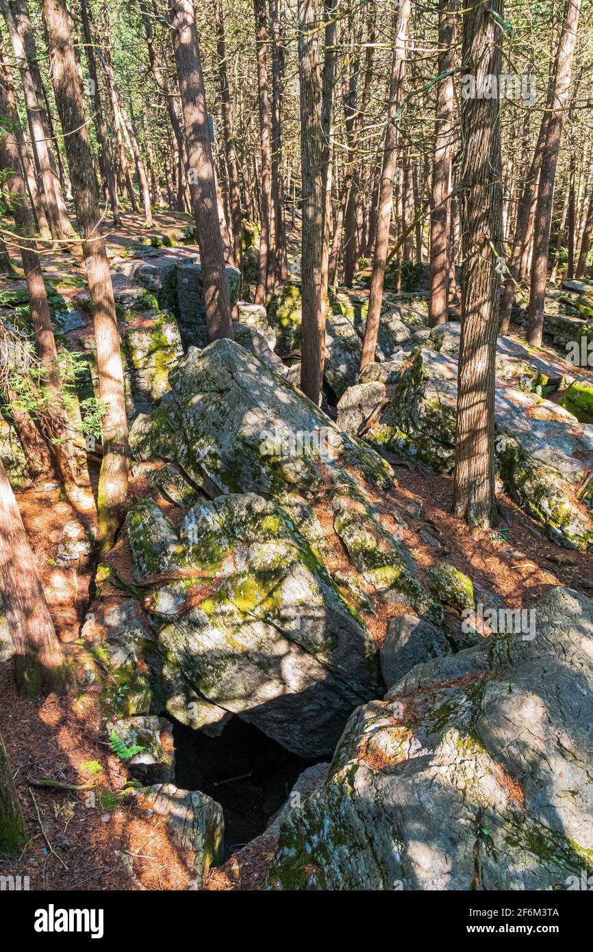 Warsaw Caves Conservation area Dwight Ontario Canada in summer Stock ...