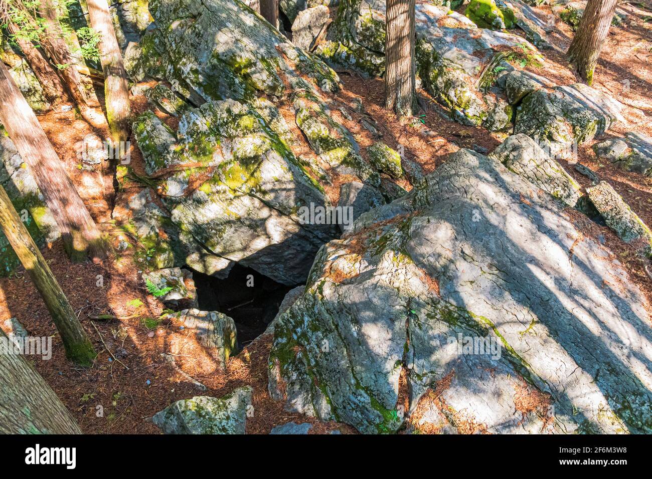 Dwight ontario hi-res stock photography and images - Alamy