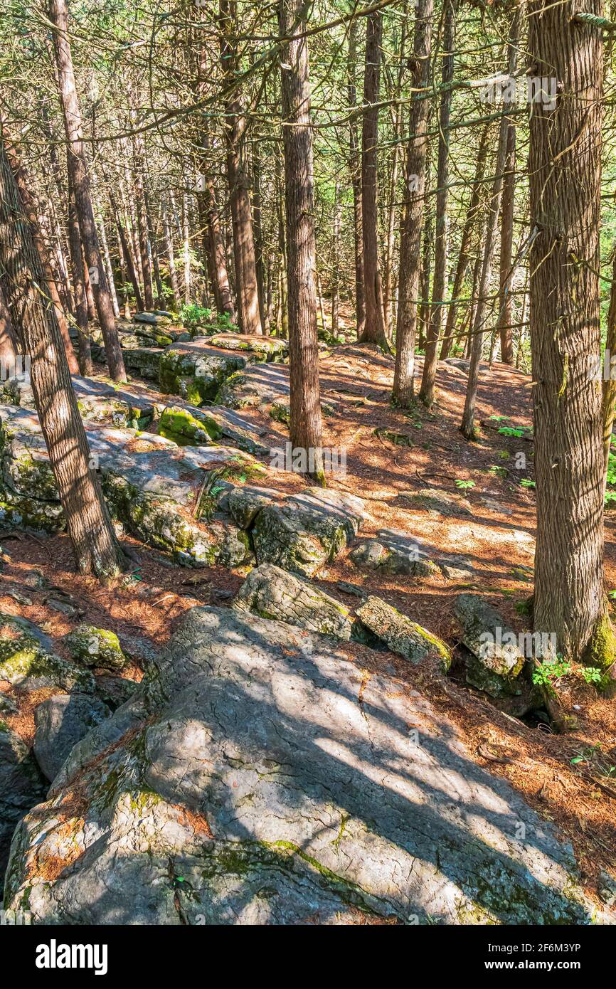 Warsaw Caves Conservation area Dwight Ontario Canada in summer Stock ...