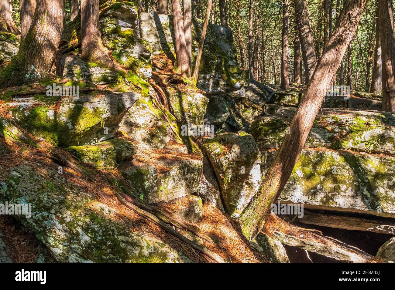 Dwight ontario hi-res stock photography and images - Alamy
