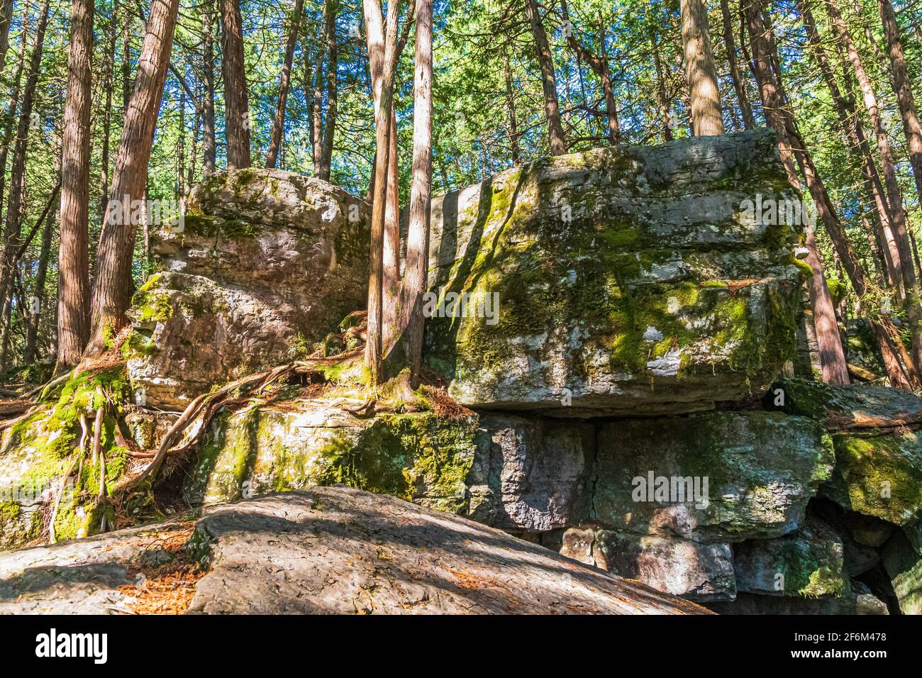 Warsaw Caves Conservation area Dwight Ontario Canada in summer Stock ...