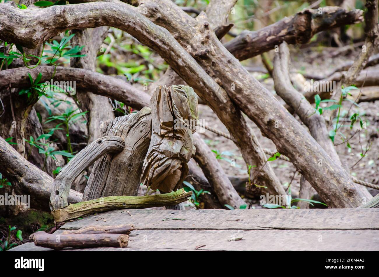 Fortune face branches in the woods Stock Photo - Alamy