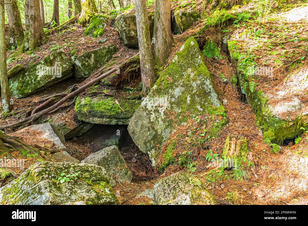 Warsaw Caves Conservation area Dwight Ontario Canada in summer Stock ...