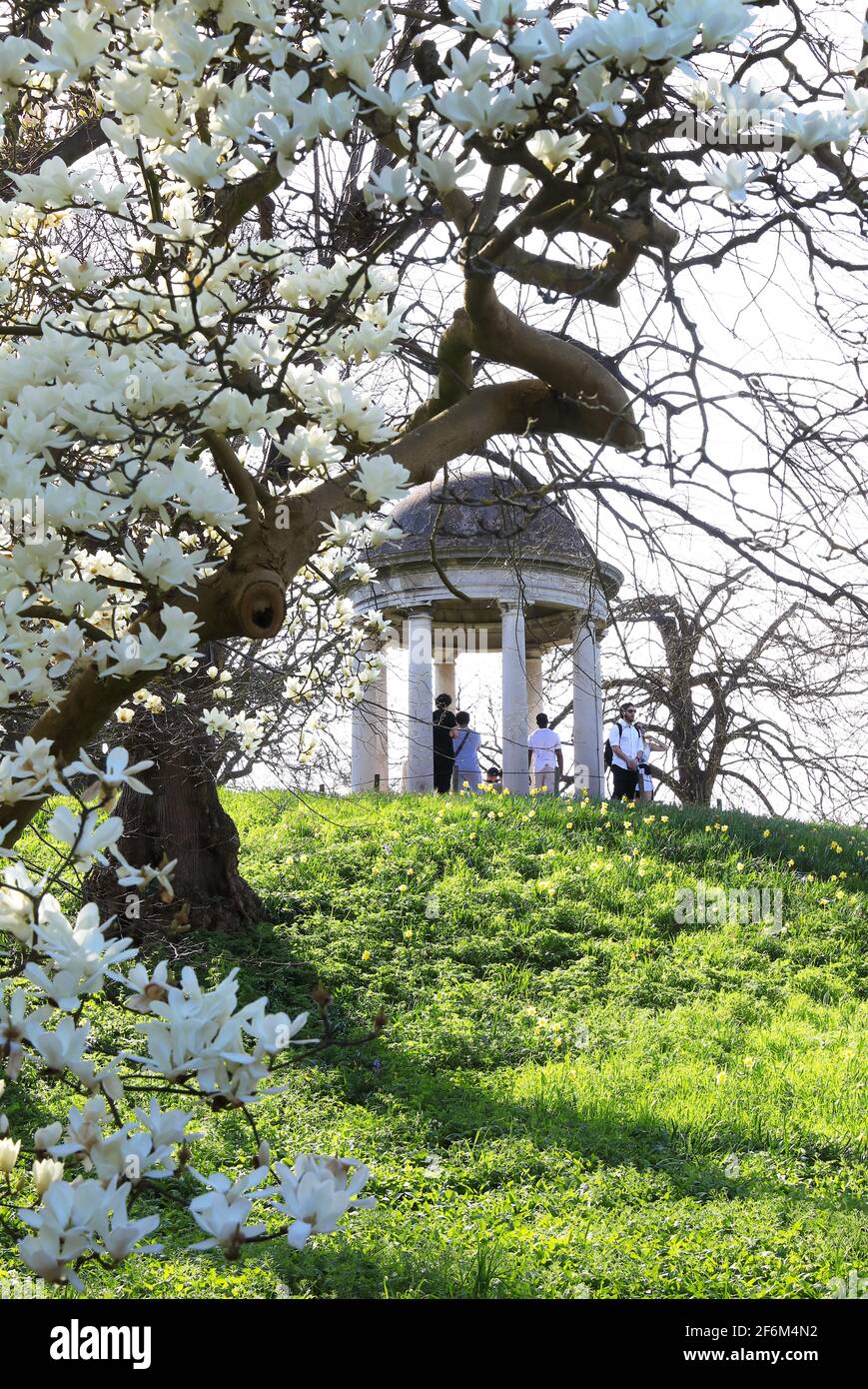 Royal botanic gardens kew cherry hi-res stock photography and images ...