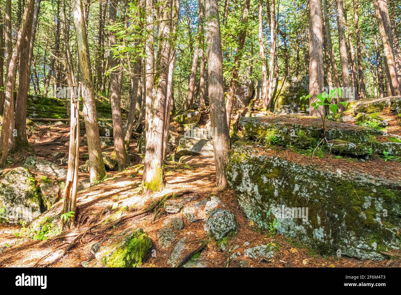 Warsaw Caves Conservation area Dwight Ontario Canada in summer Stock ...