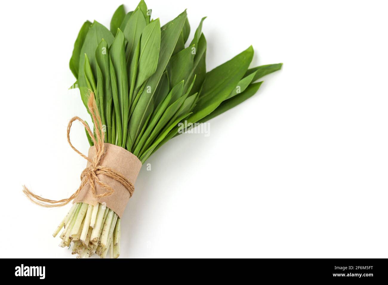 ramson wild garlic on a white background, healthy food, Top view Stock ...