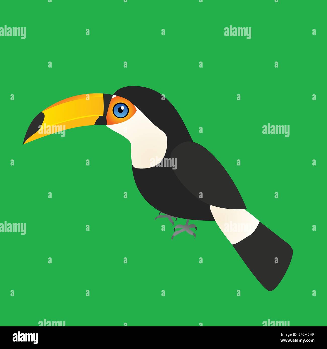 An illustration of a toco toucan. The single bird is placed on a green ...