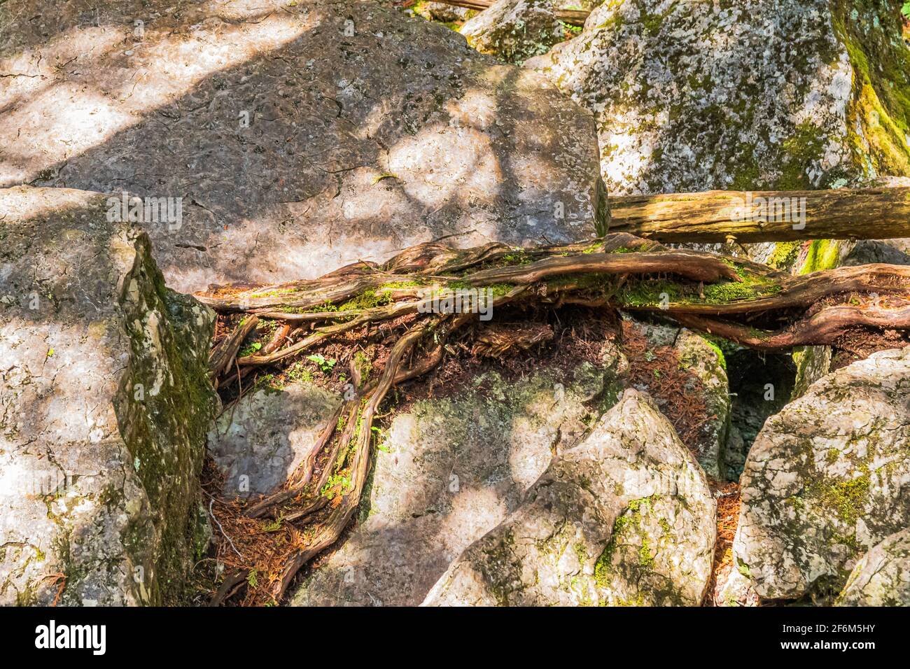 Warsaw Caves Conservation area Dwight Ontario Canada in summer Stock ...