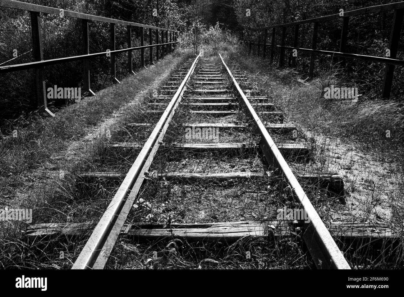 An old unused narrow-gauge railway bridge in the Bieszczady Mountains ...