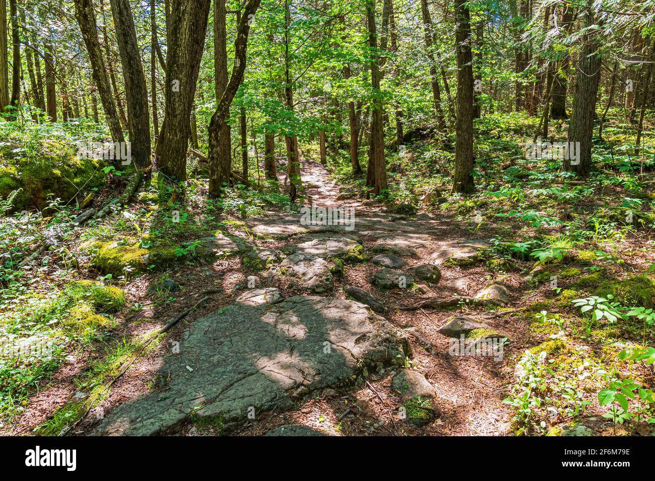 Warsaw Caves Conservation area Dwight Ontario Canada in summer Stock ...