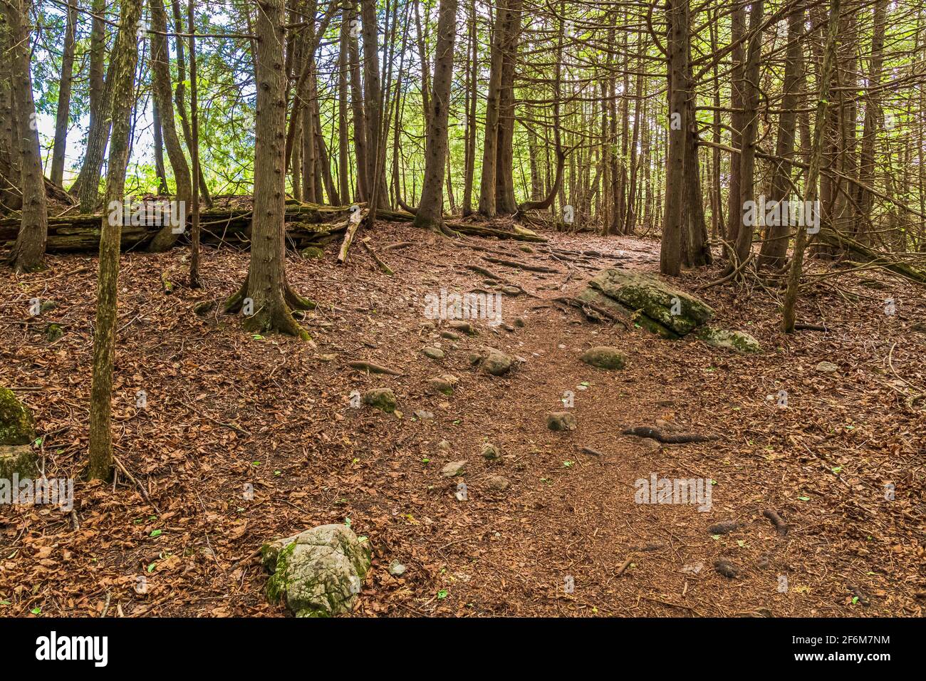 Warsaw Caves Conservation area Dwight Ontario Canada in summer Stock ...