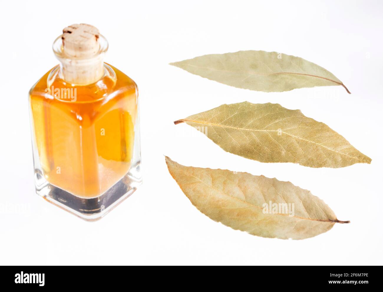 Organic laurel oil - Laurus nobilis Stock Photo - Alamy