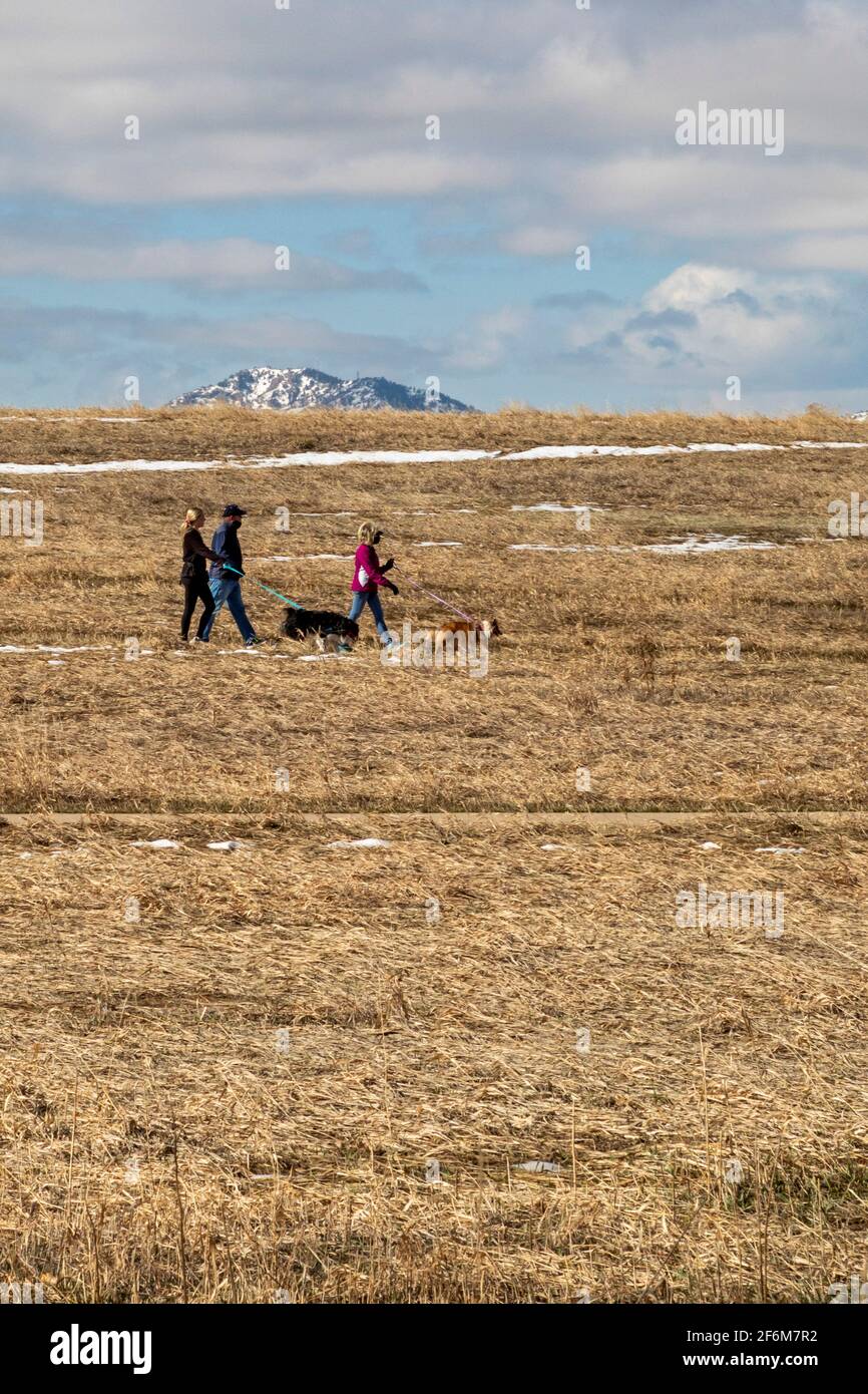 Wheat Ridge, Colorado - Hikers with their dogs in Crown Hill Park in ...