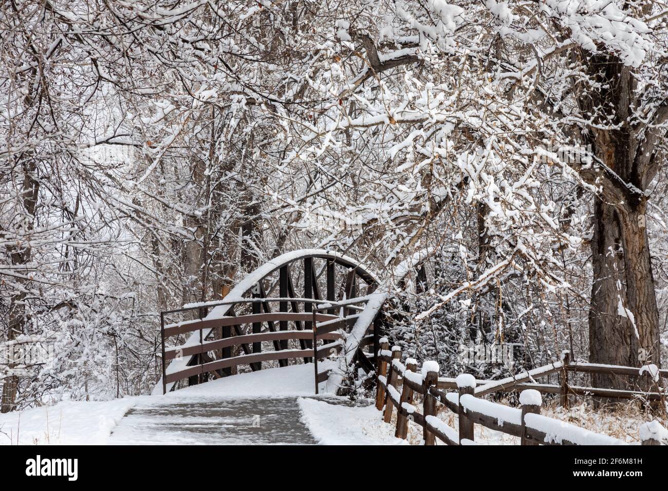 Wheat Ridge, Colorado - A pedestrian bridge over Clear Creek during a ...