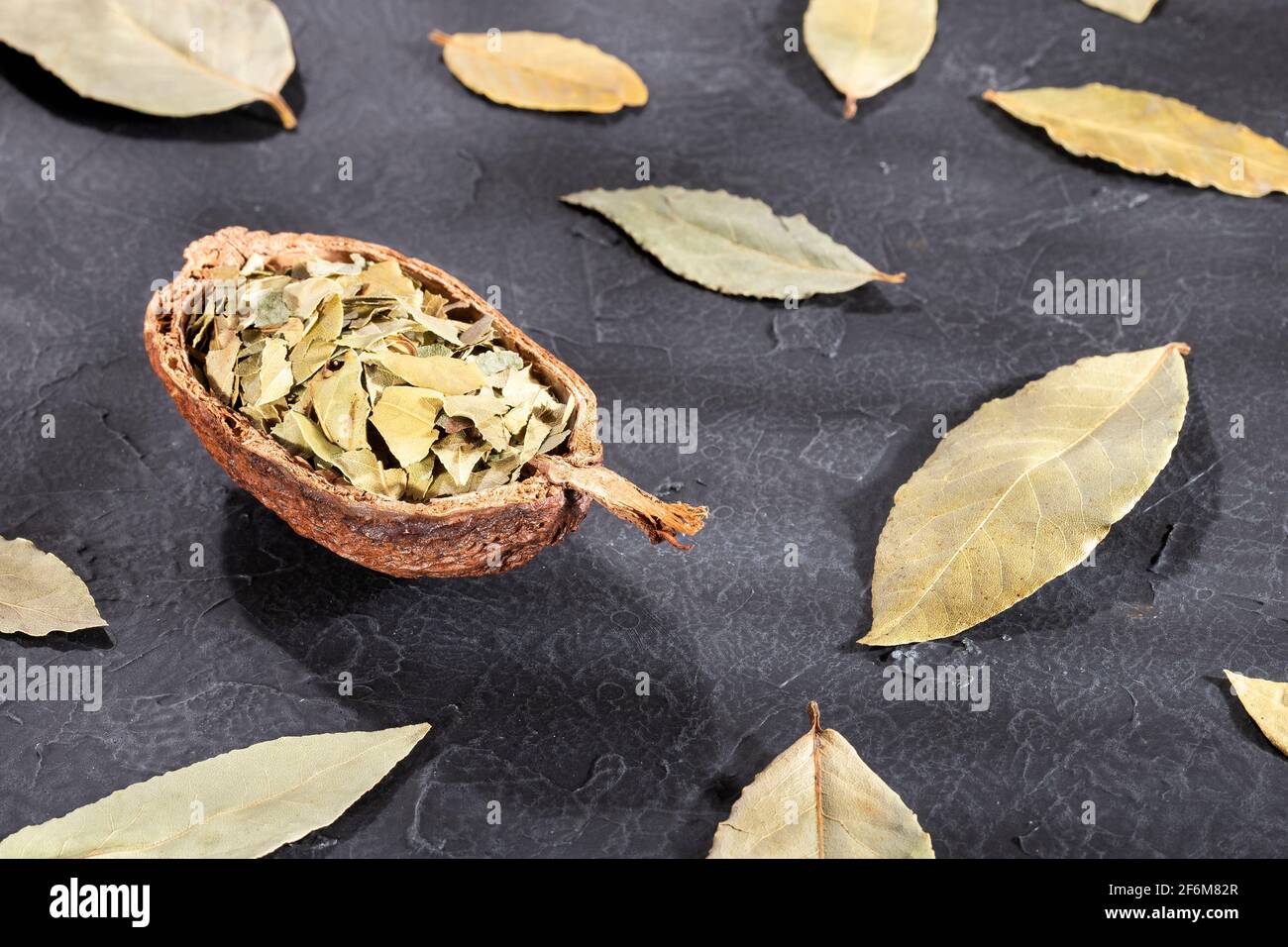Dried Laurel and Ground Laurel - Laurus nobilis Stock Photo - Alamy