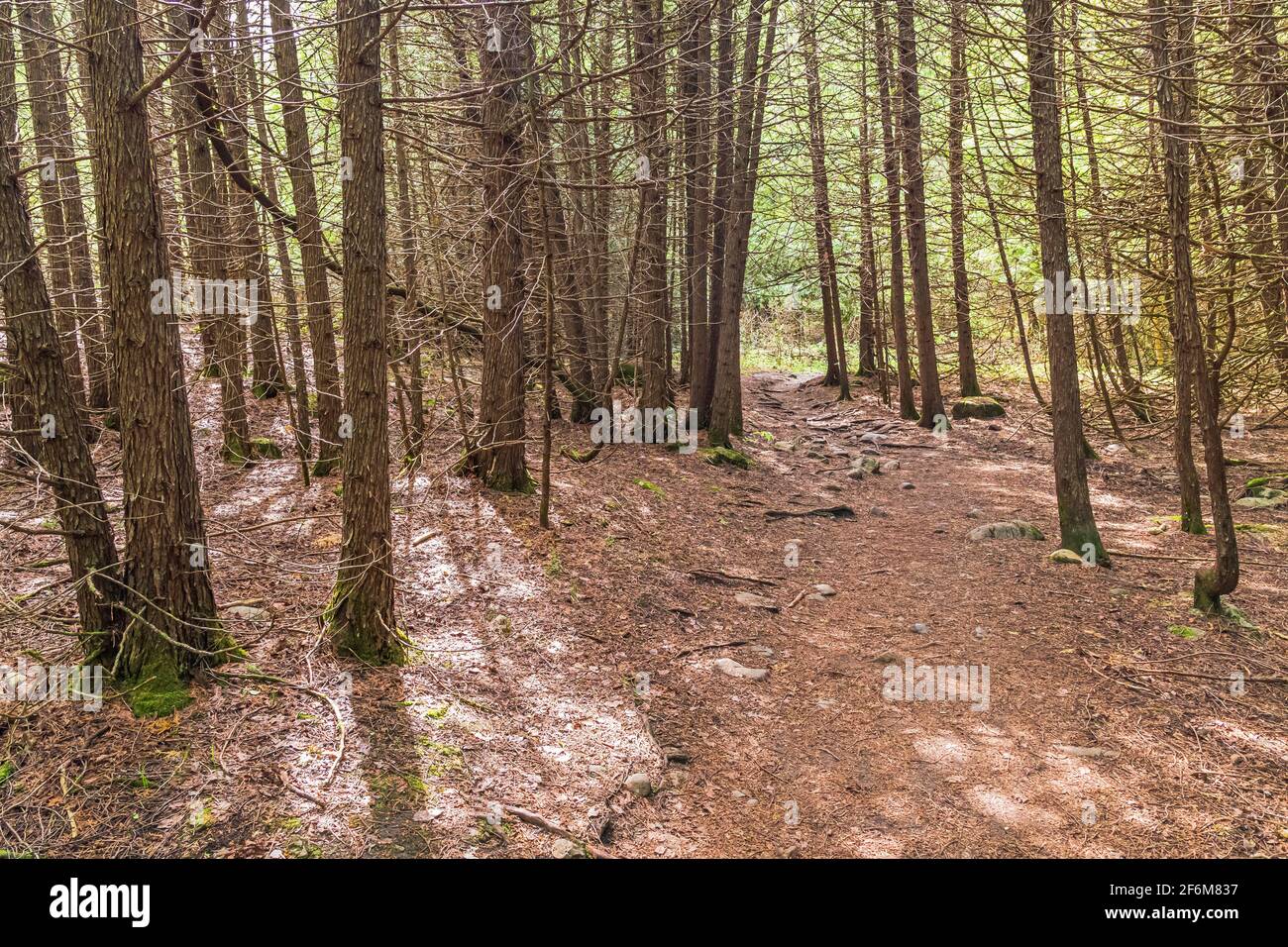 Dwight ontario hi-res stock photography and images - Alamy