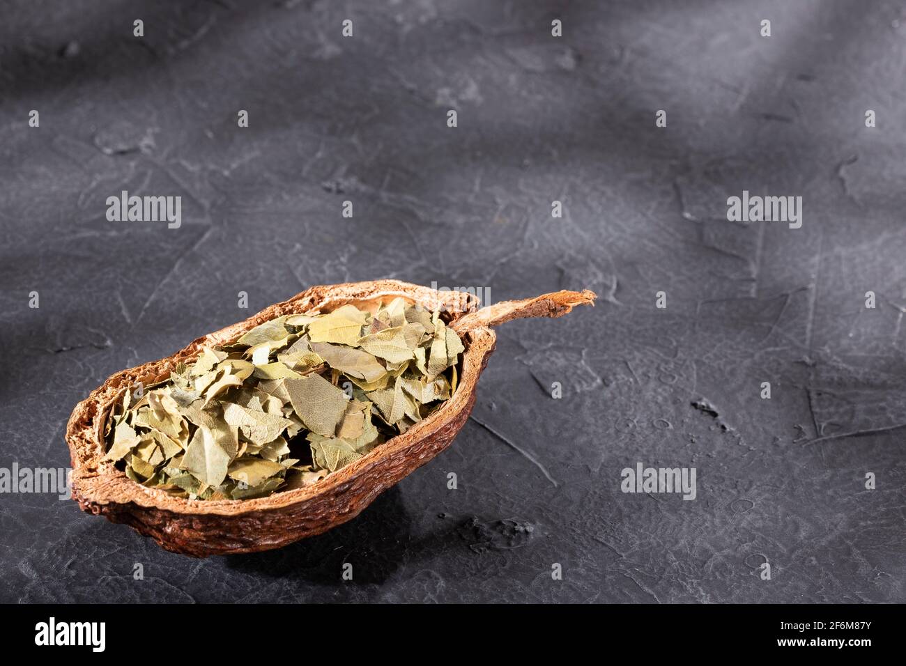 Dried Laurel and Ground Laurel - Laurus nobilis Stock Photo - Alamy