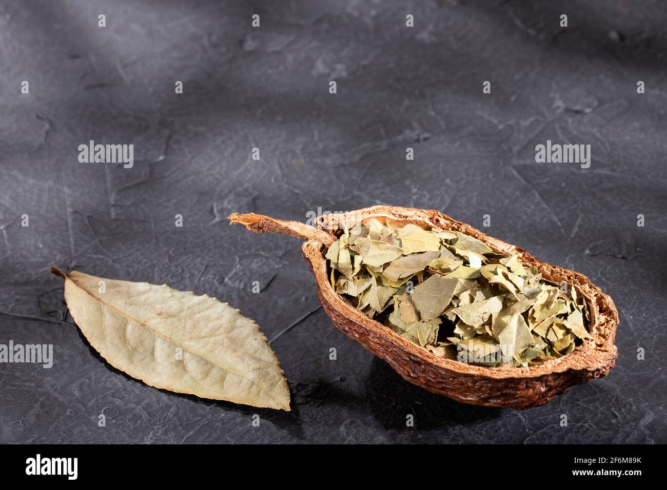 Dried Laurel and Ground Laurel - Laurus nobilis Stock Photo - Alamy