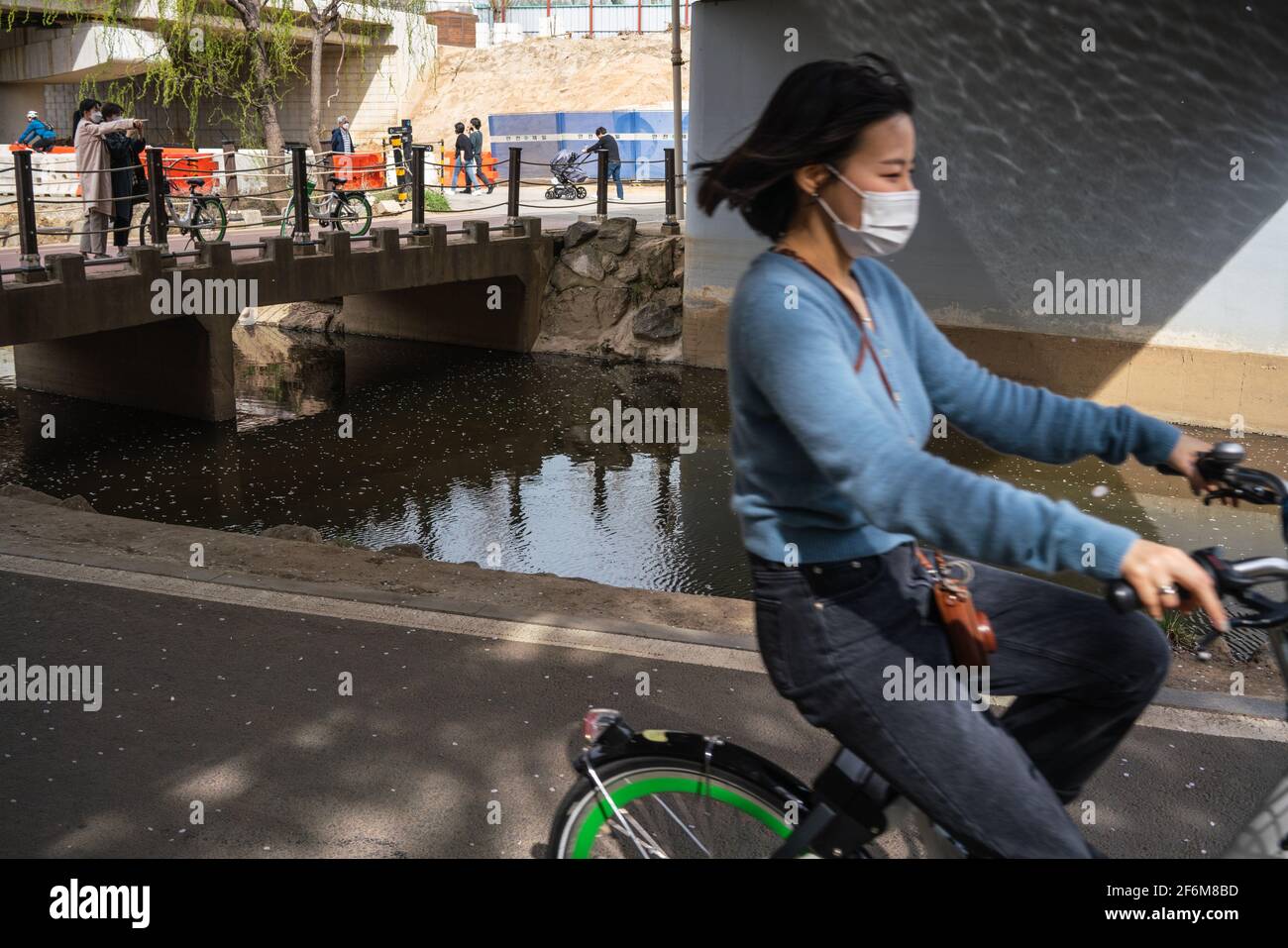 A woman wearing a face mask rides a bicycle in Seoul Stock Photo - Alamy