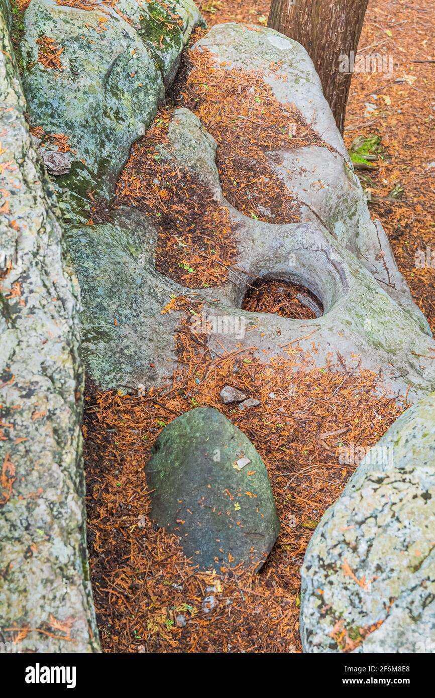 Warsaw Caves Conservation area Dwight Ontario Canada in summer Stock ...