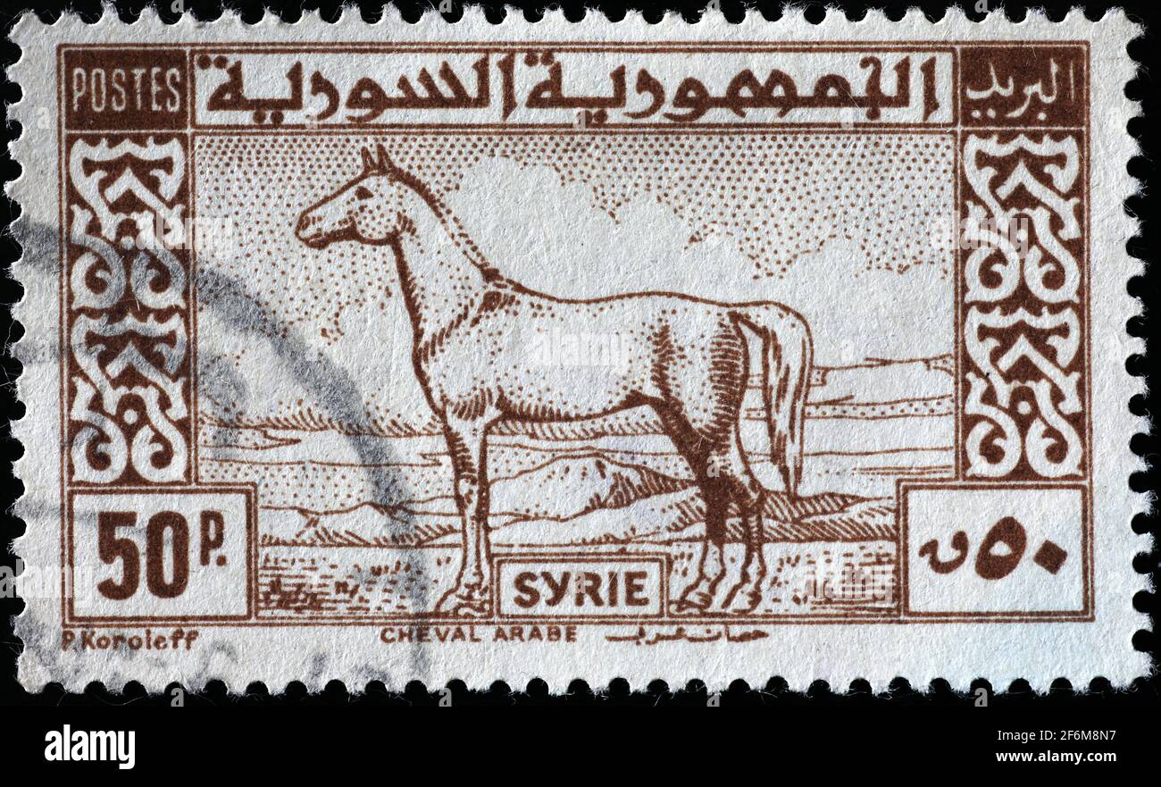 Arabian horse on vintage syrian postage stamp Stock Photo - Alamy